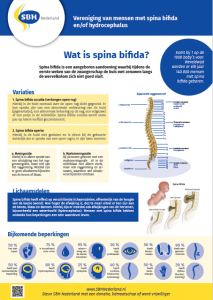 Spina Bifida Occulta: Wat Is Het En Hoe Herken Je Het? – EBRC